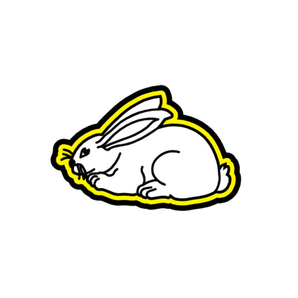 FFA/Rodeo-Rabbit – Centex Recognition