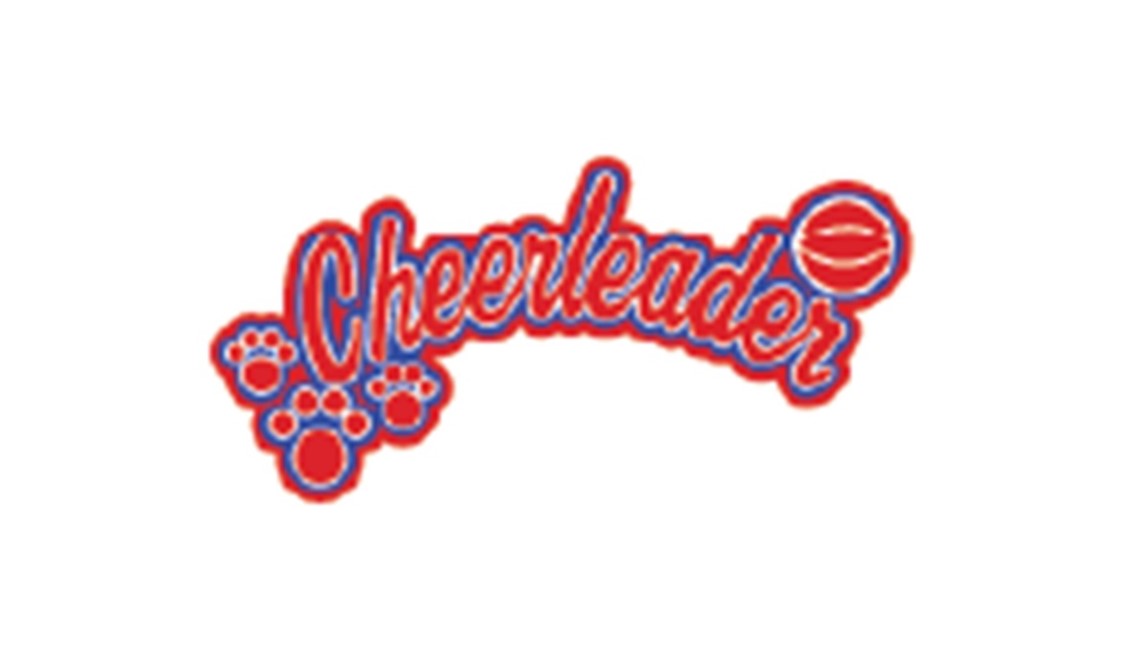 Script Arched with Symbols – Centex Recognition