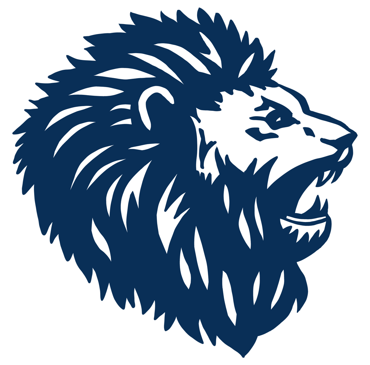 Mascot-Valor North Lion – Centex Recognition