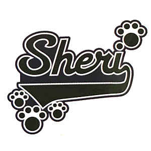 Script with Tail & Symbols – Centex Recognition