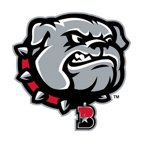 High School Mascots Bulldog